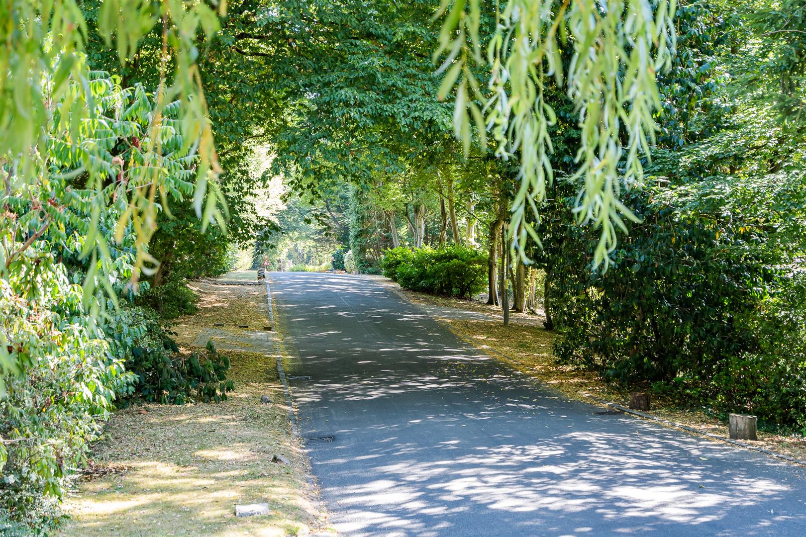 Firs Walk, Tewin, Welwyn – Bryan Bishop